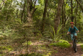 Activities - Online Bookings for Tongariro River Rafting - RTBS